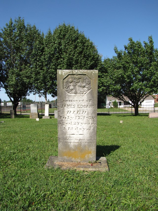 Sprig of Roses | Gravely Speaking