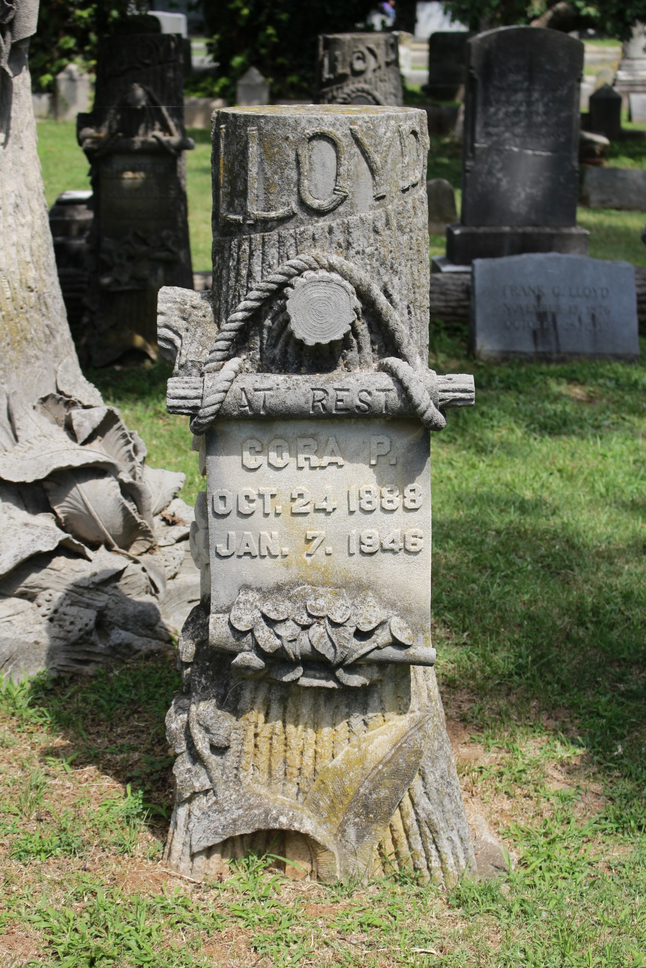 The Ultimate Tree Stump Family Plot | Gravely Speaking