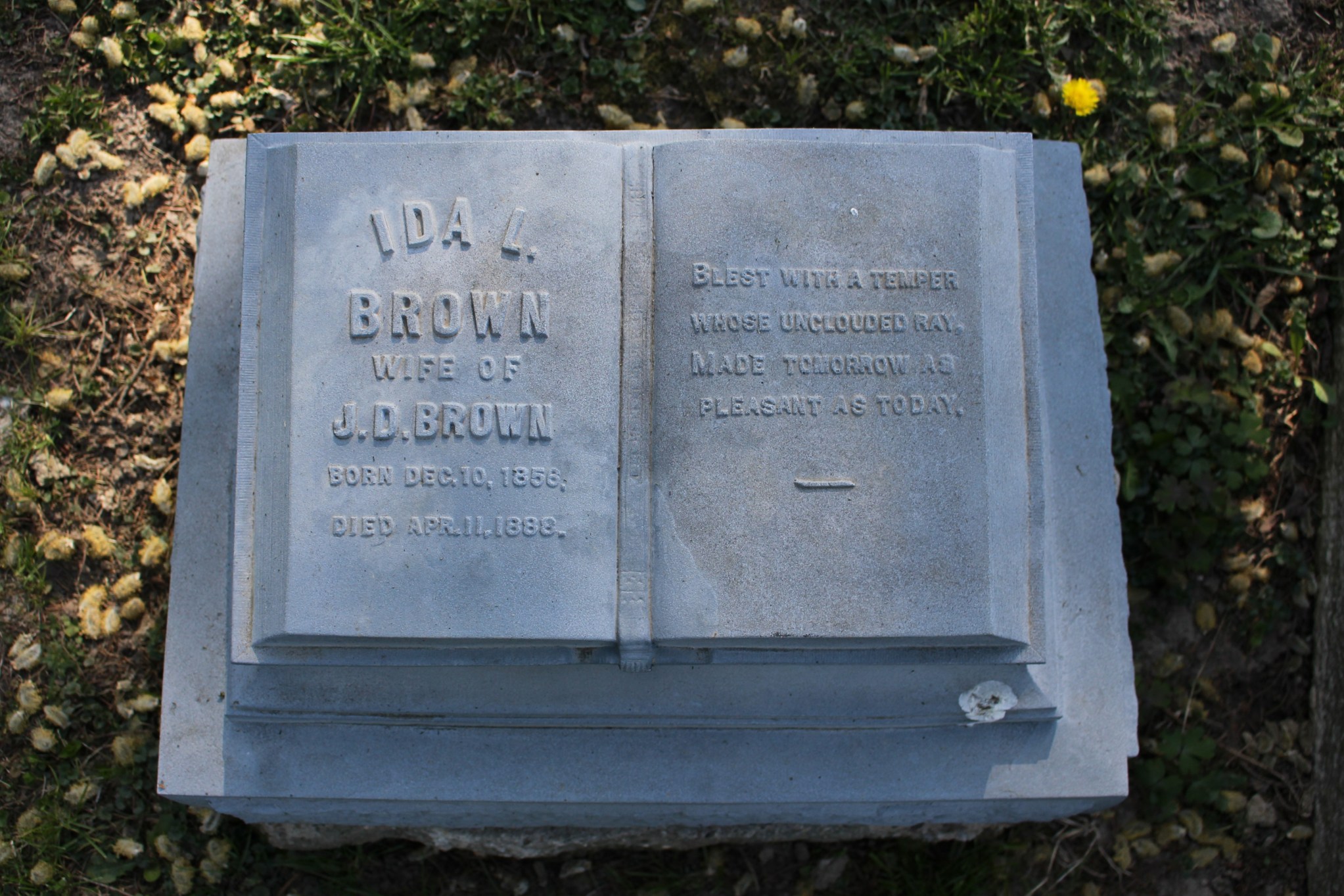 Gravely Speaking | …about graves, gravestones, and graveyards | Page 12